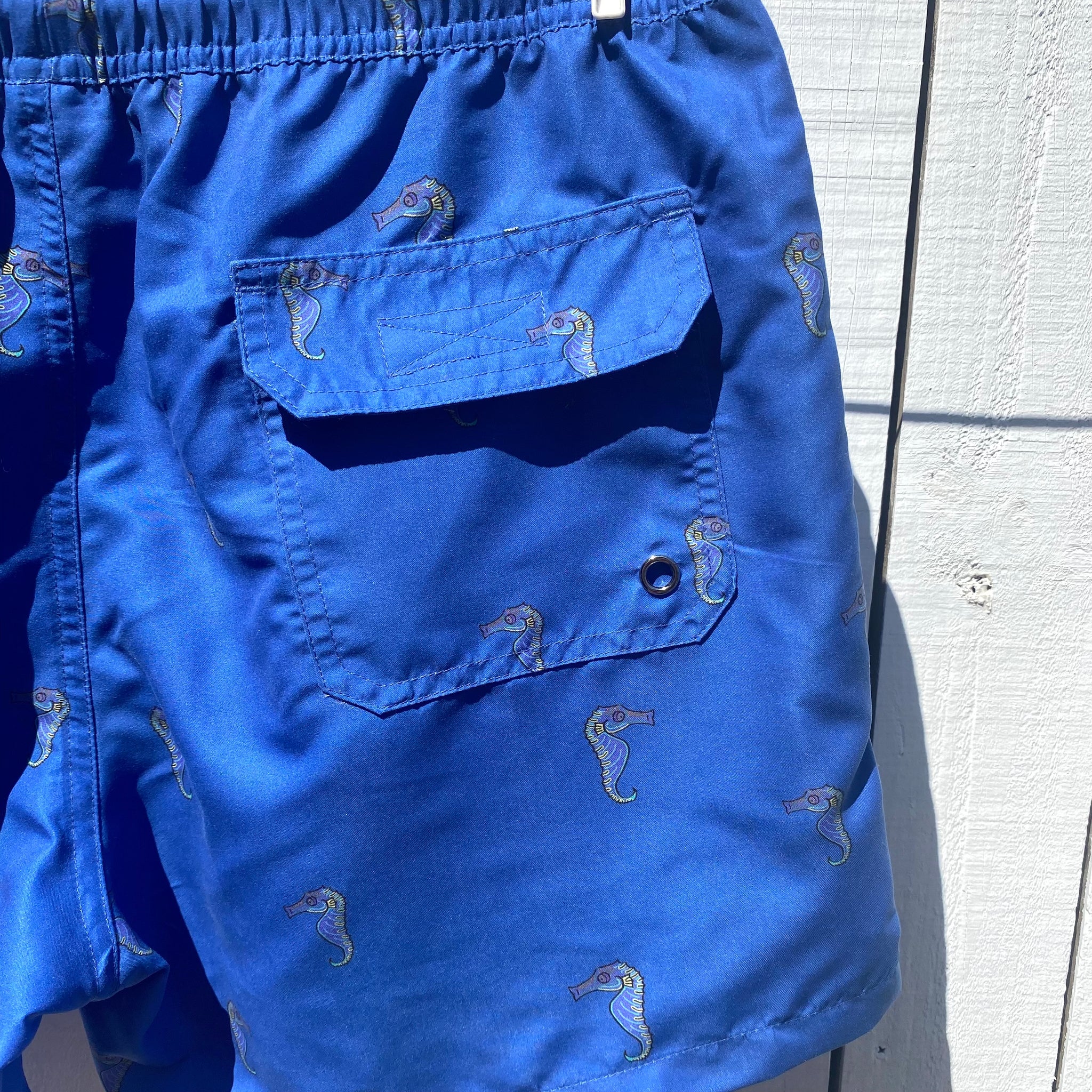 Seahorses – Chasing Salt