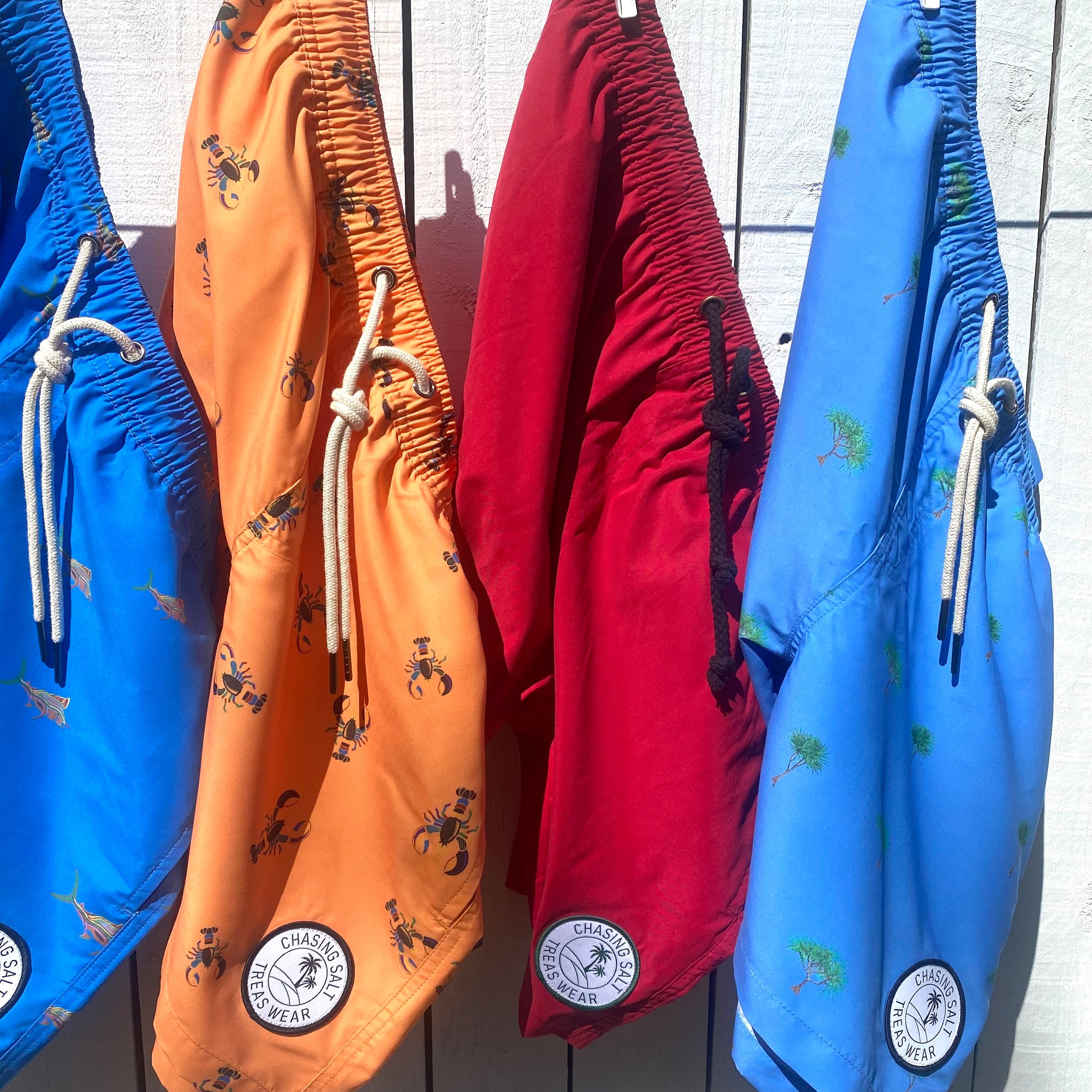 The Palms – Chasing Salt