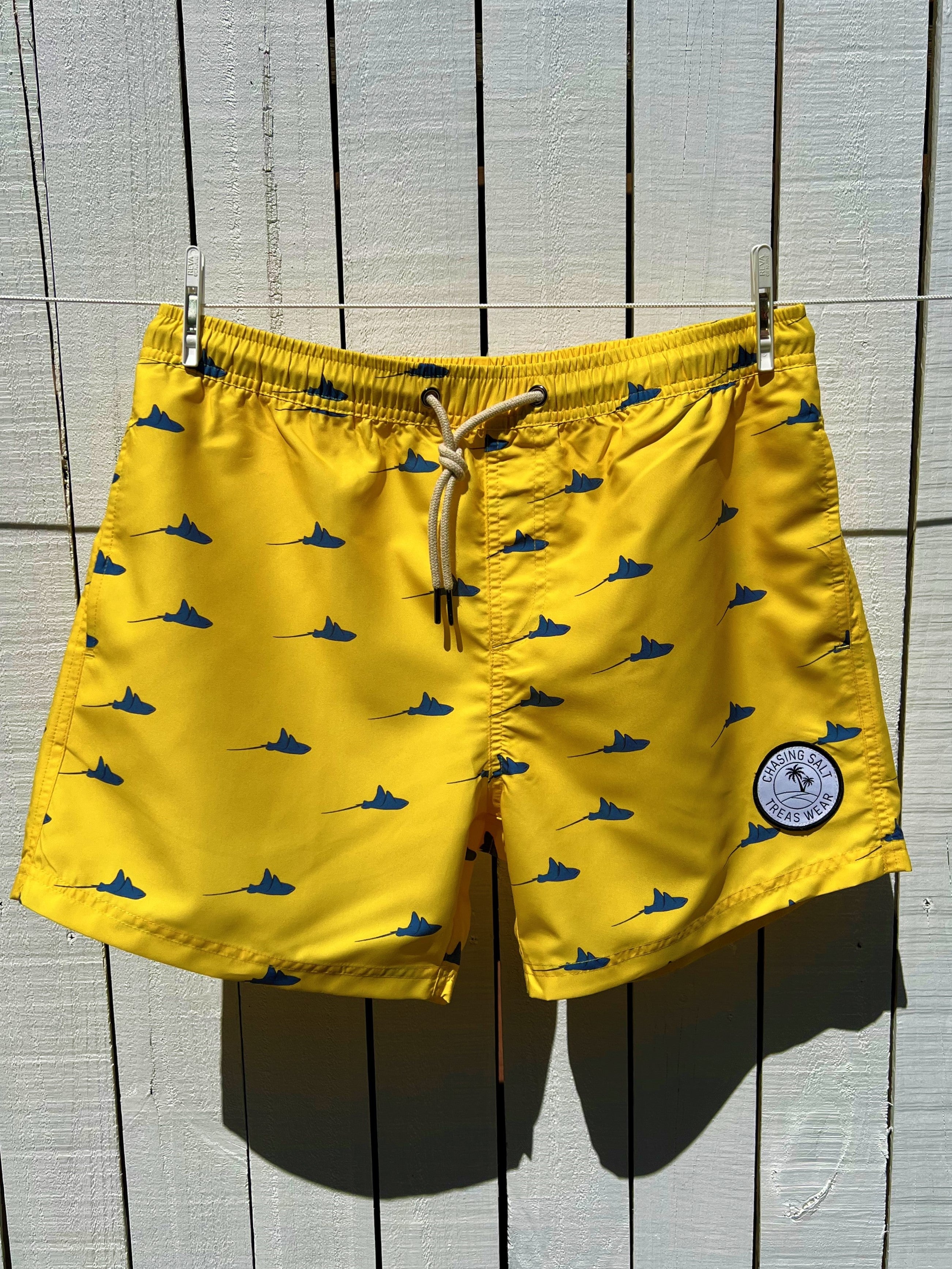 Rays – Chasing Salt